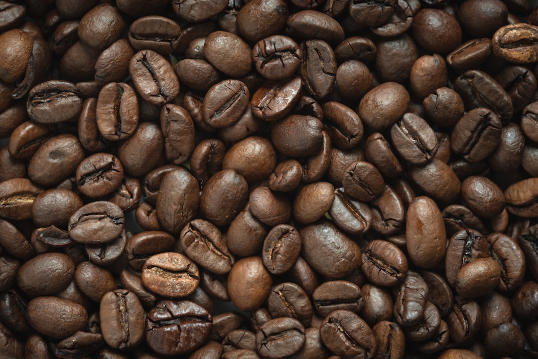 Top Guide to Rising Coffee Costs: Best Insights & Solutions